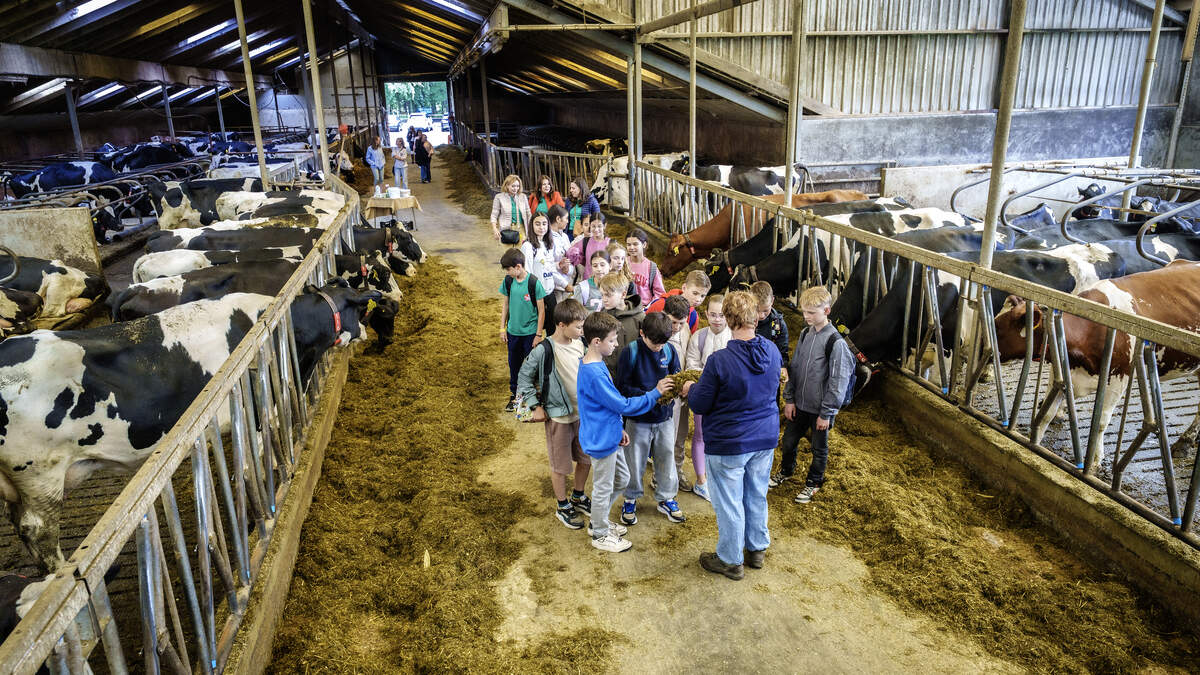 Twaalf Spaanse kinderen logeren in de Merenwijk in Leiden. ’Soms ...