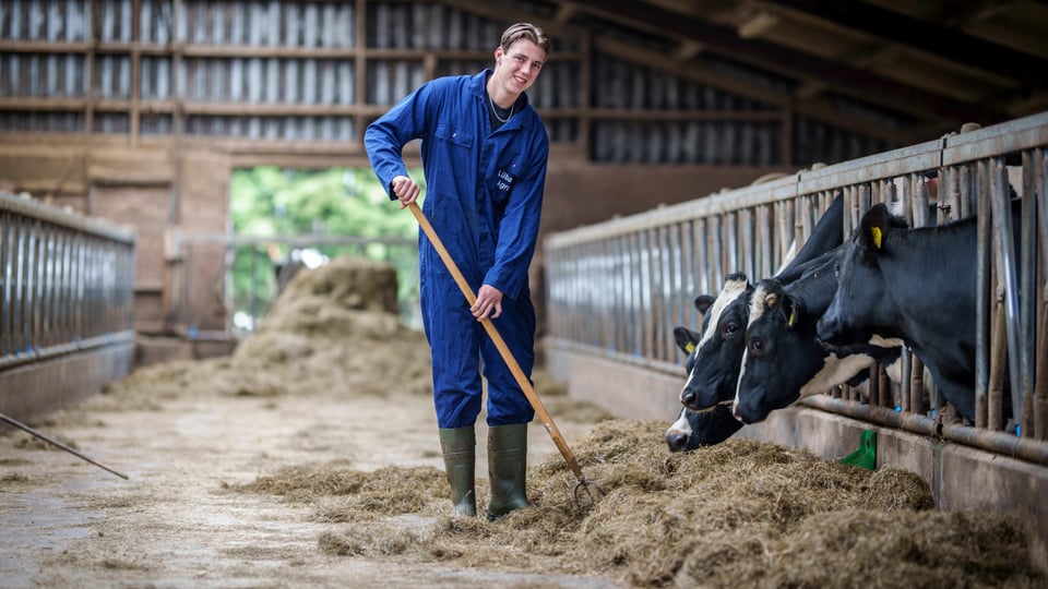 Len (18) uit Warmond heeft er nooit over getwijfeld: hij wilde ook boer ...