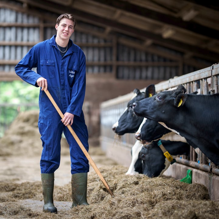 Len (18) uit Warmond heeft er nooit over getwijfeld: hij wilde ook boer ...