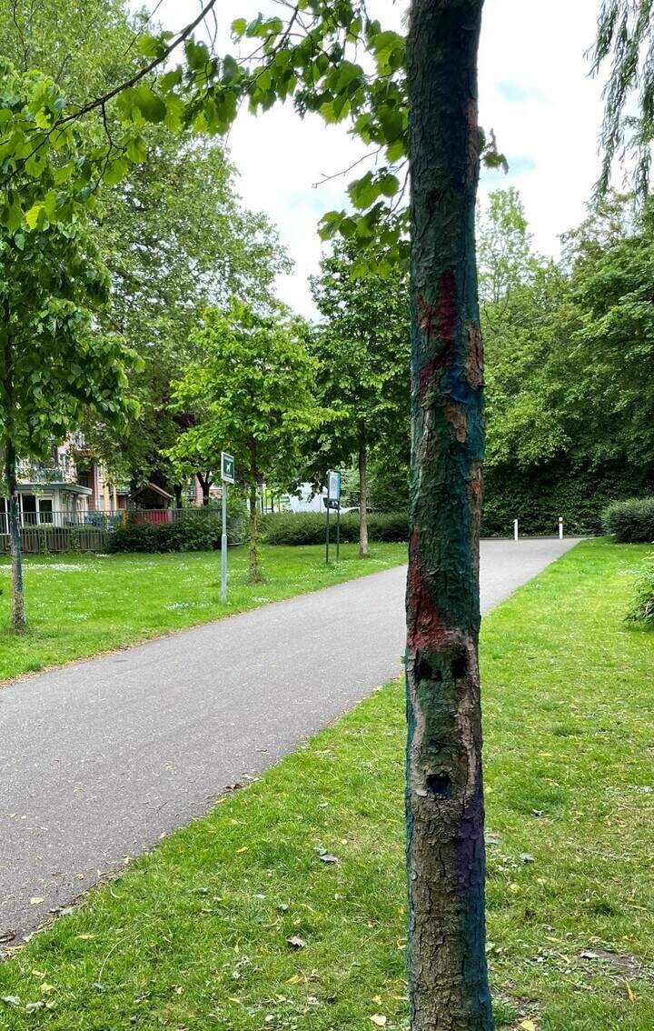 Raadsel in de Tuin van Noord in Leiden: zijn die beschilderde bomen nou ...